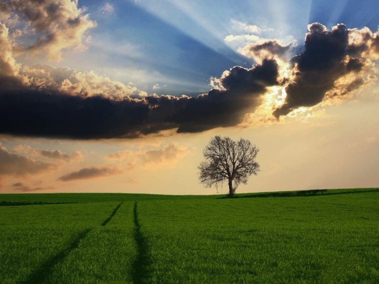 Yielding to God Even When It's Hard - Selah Home