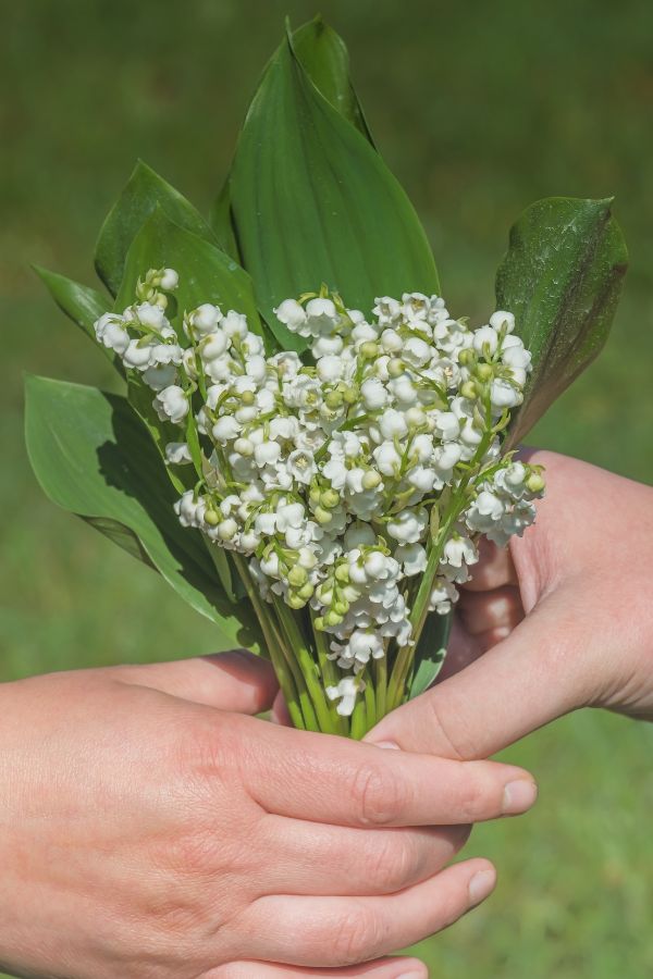 The Power of Giving: Raising Generous Kids - Selah Home